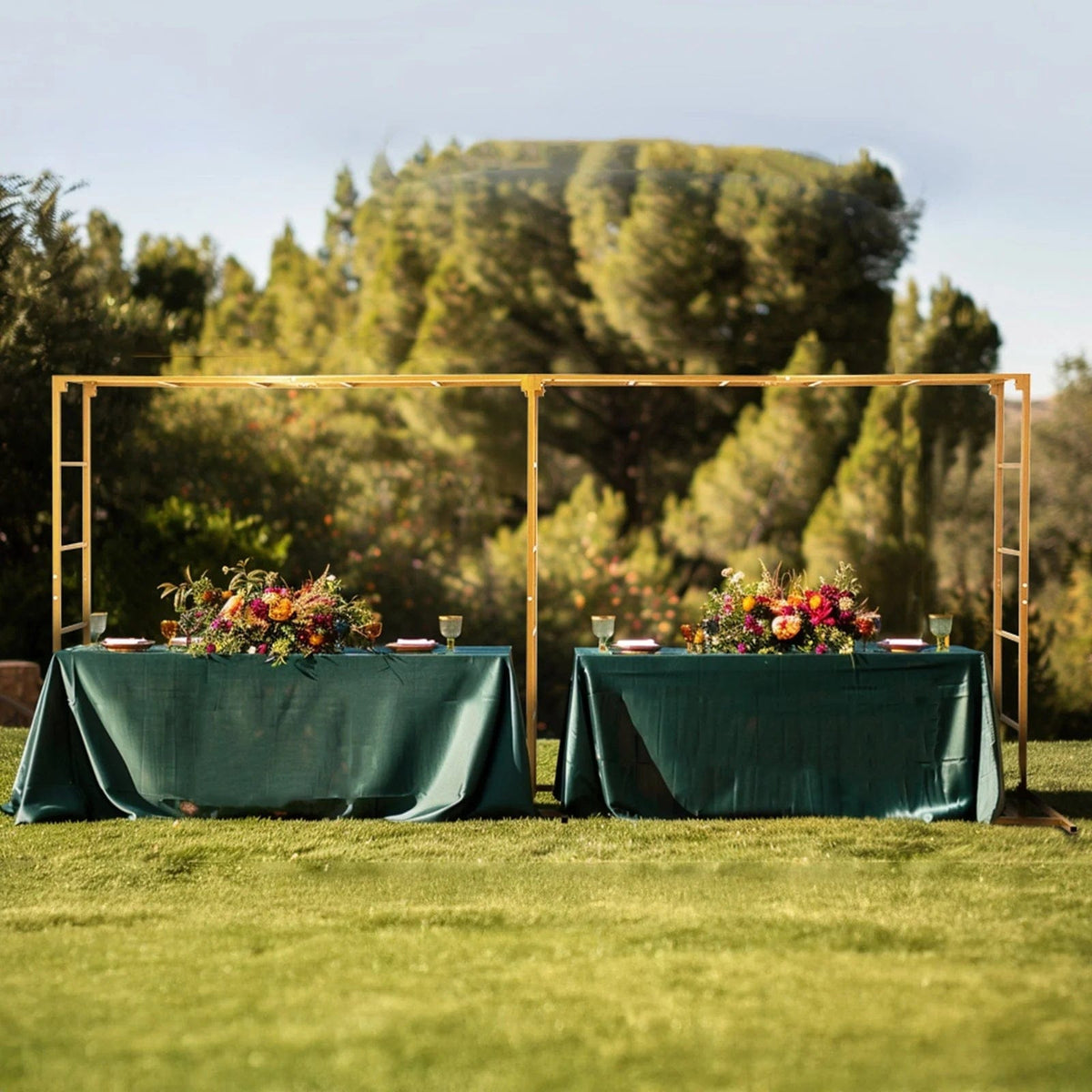 Gold 6x16 feet Double Frame Metal Freestanding Over The Table Stand ...