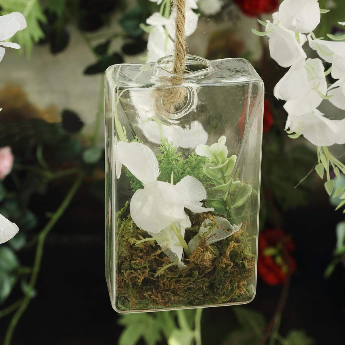 3 Clear Trapezoid Glass Wall Hanging Terrariums Vases – Balsa Circle, LLC